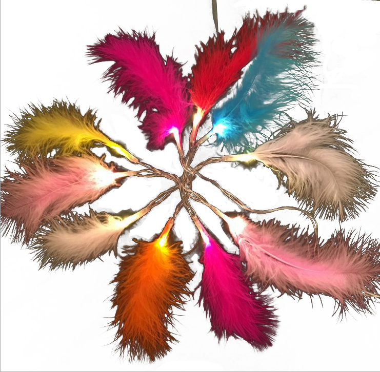 feather led fairy string