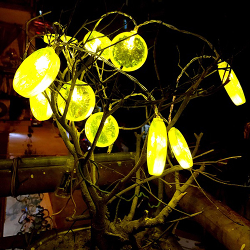 lemon slice led fairy string
