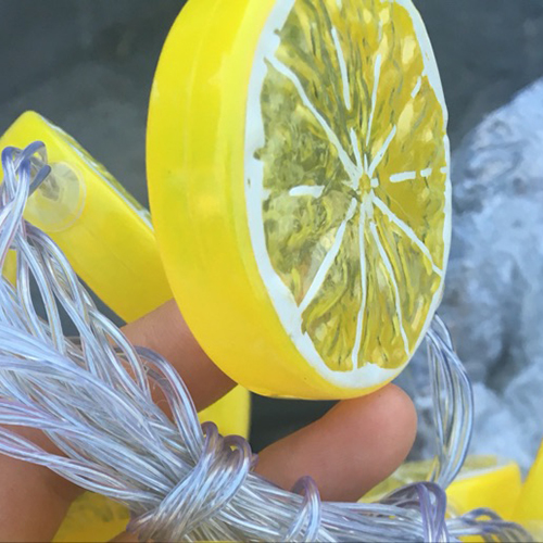 lemon slice led fairy string