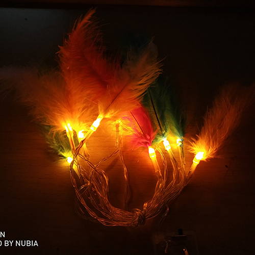 feather led fairy lights,feather battery string,feather string lights
